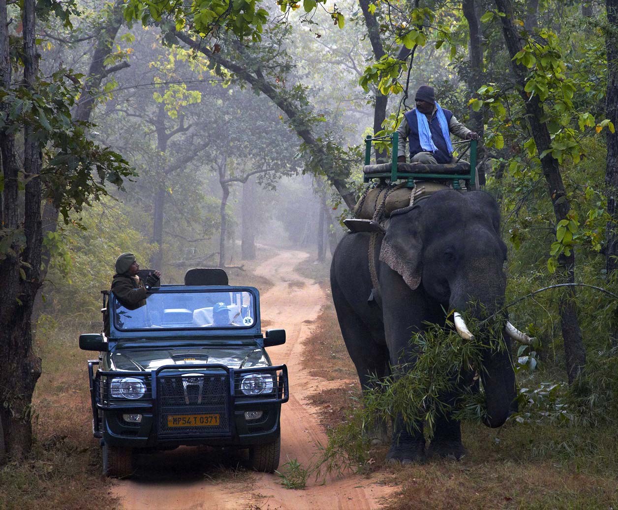 Samode Safari Lodge – Samode